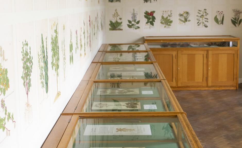 Herbarium Room | Oxford Botanic Garden and Arboretum
